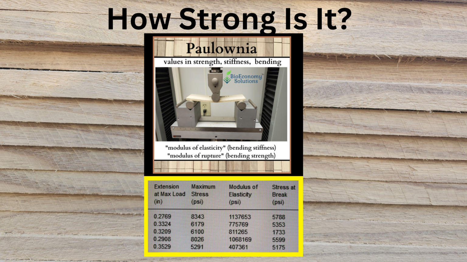 How Strong Is Paulownia Hardwood Lumber? – BioEconomy Solutions