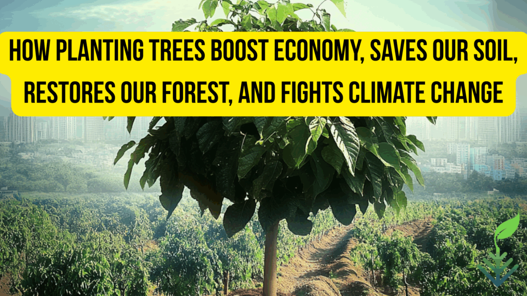 How Planting Trees Boost Economy, Saves Our Soil, Restores Our Forest ...